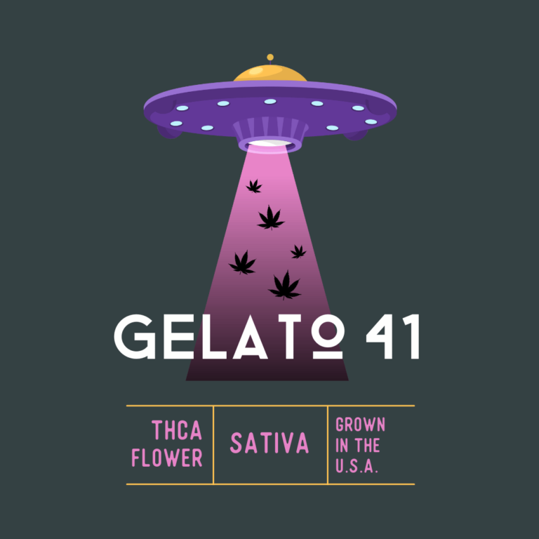 Gelato 41 - High There Co.